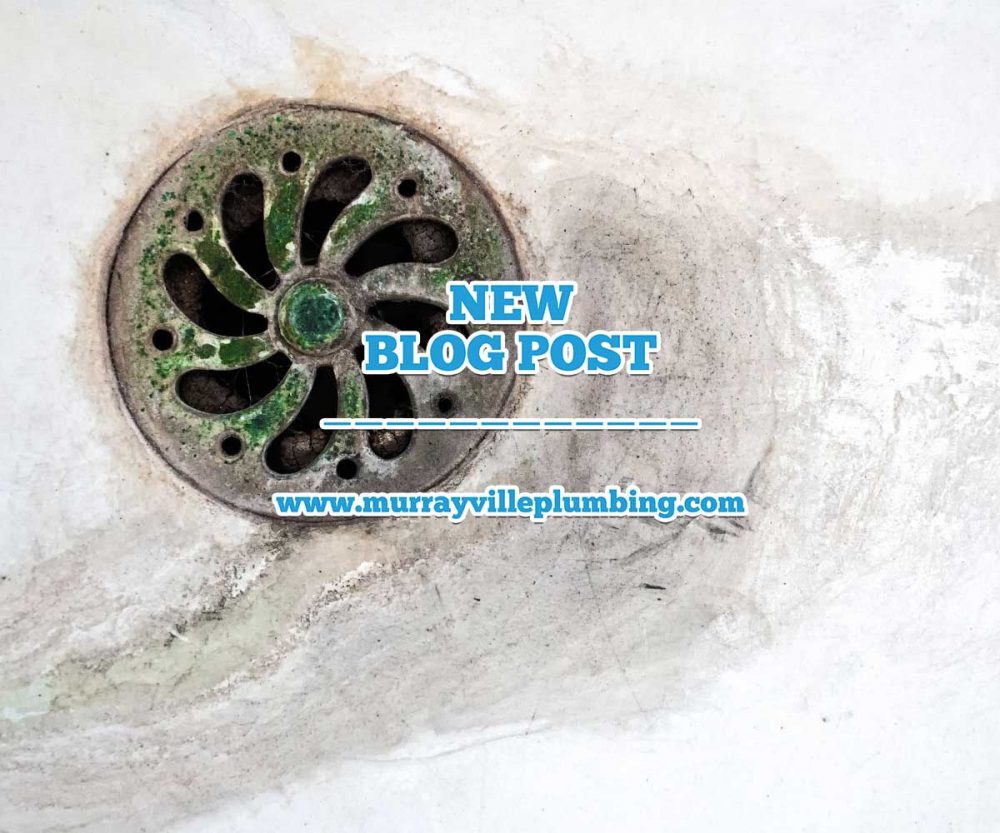 Get Rid Of Mold & Mildew With Drain Cleaning | Murrayville Plumbing